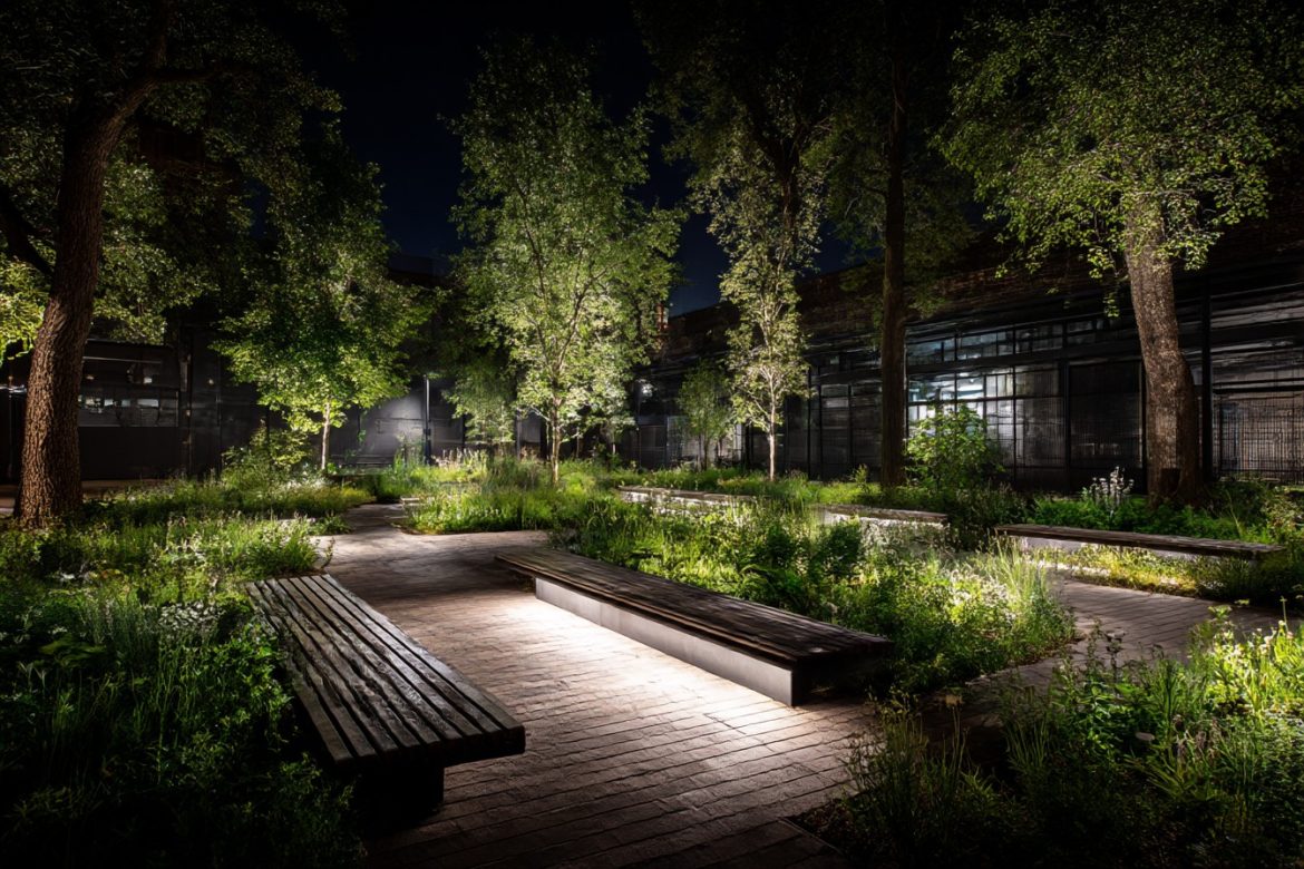 What Is Biophilic Design? A Beginner's Guide - Biophilic Flair